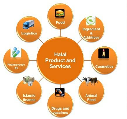 Opinion: Top four halal megatrends that will shape the halal industry ...